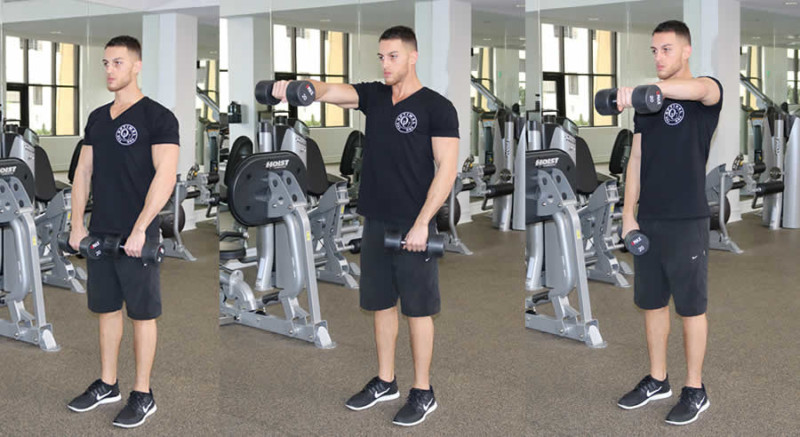 Alternating Front Dumbbell Raise – The Optimal You | Online Personal ...