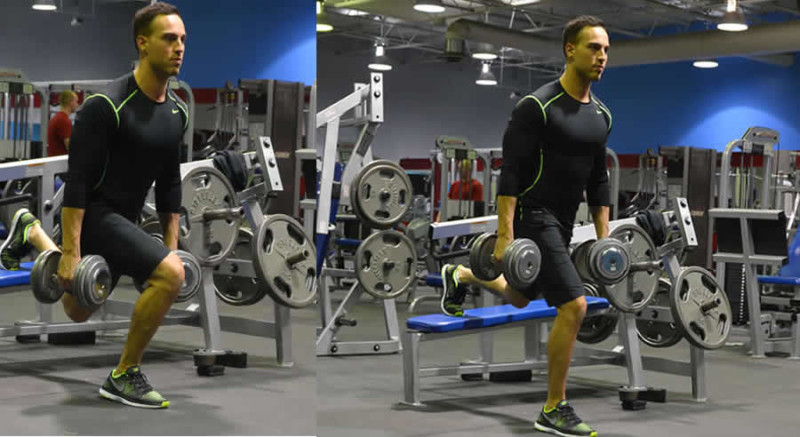 Bulgarian Split Squat – The Optimal You | Online Personal Trainers ...