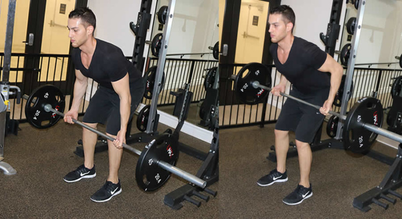 Underhand Barbell Row – The Optimal You | Online Personal Trainers ...